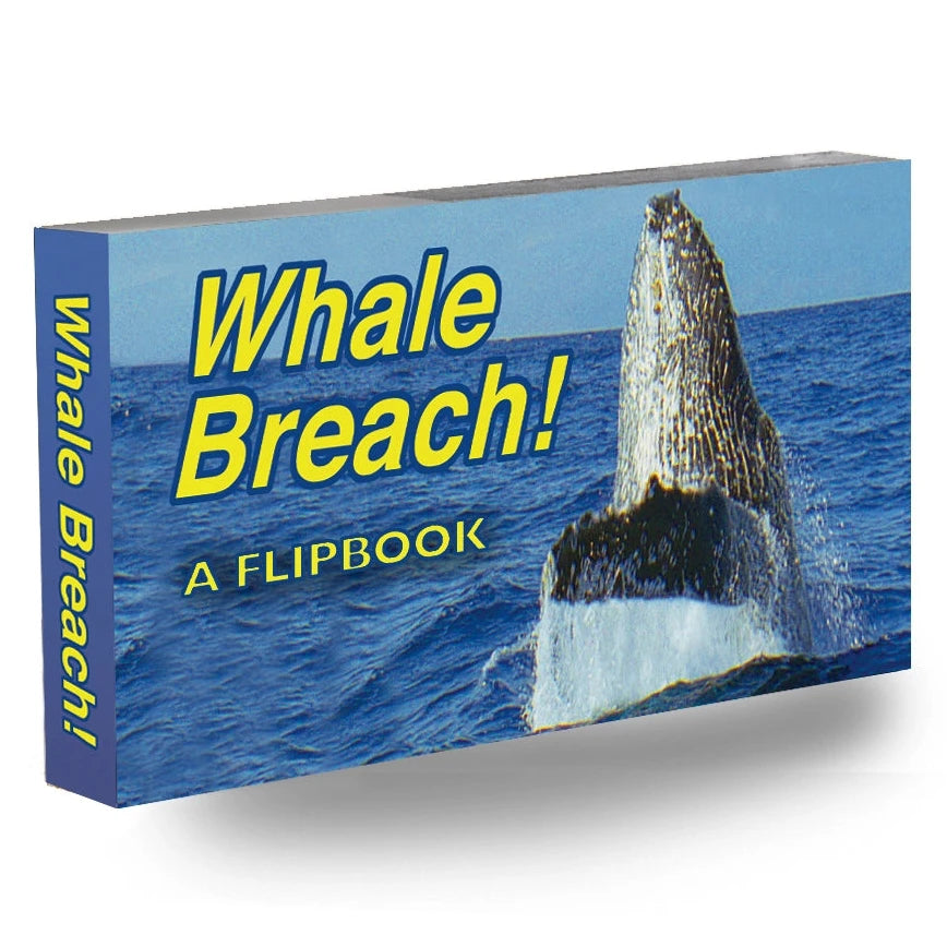 Whale Breach Flipbook – Kinoko Kids