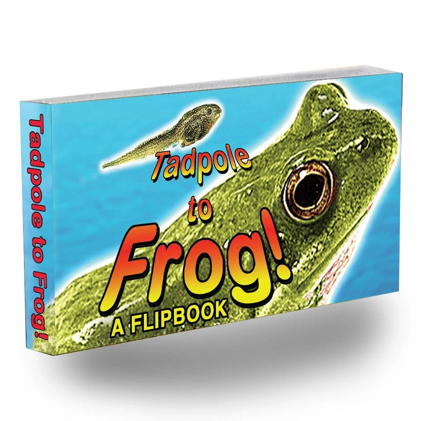 Tadpole To Frog Flipbook – Kinoko Kids