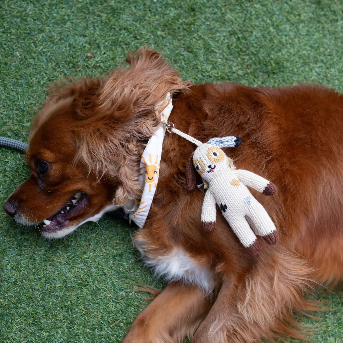 Blabla Ozzy The Dog Bag Charm – Kinoko Kids