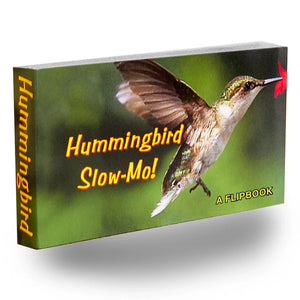 Hummingbird Flipbook – Kinoko Kids