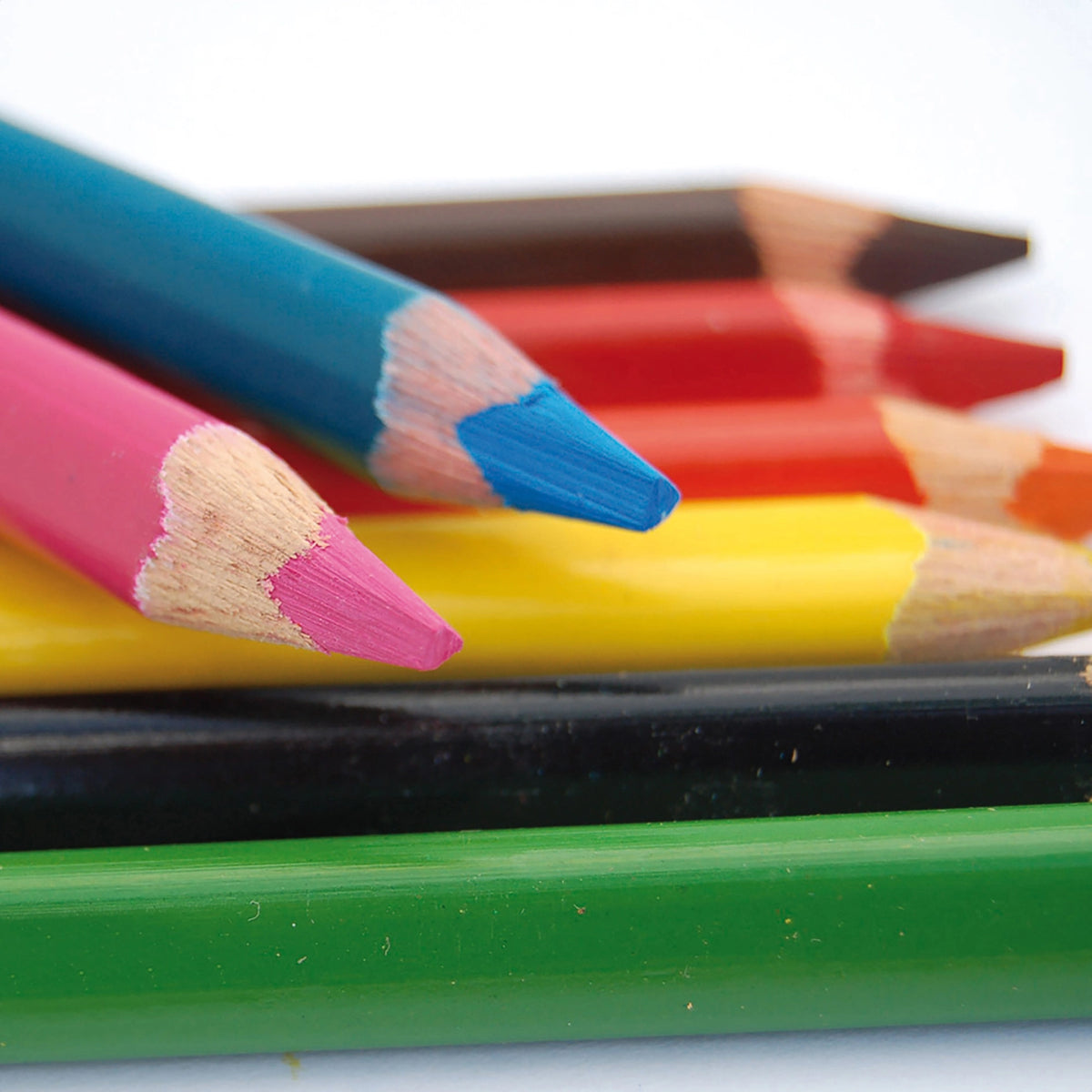 Jumbo Triangle Pencils, 12-Colors – Kinoko Kids